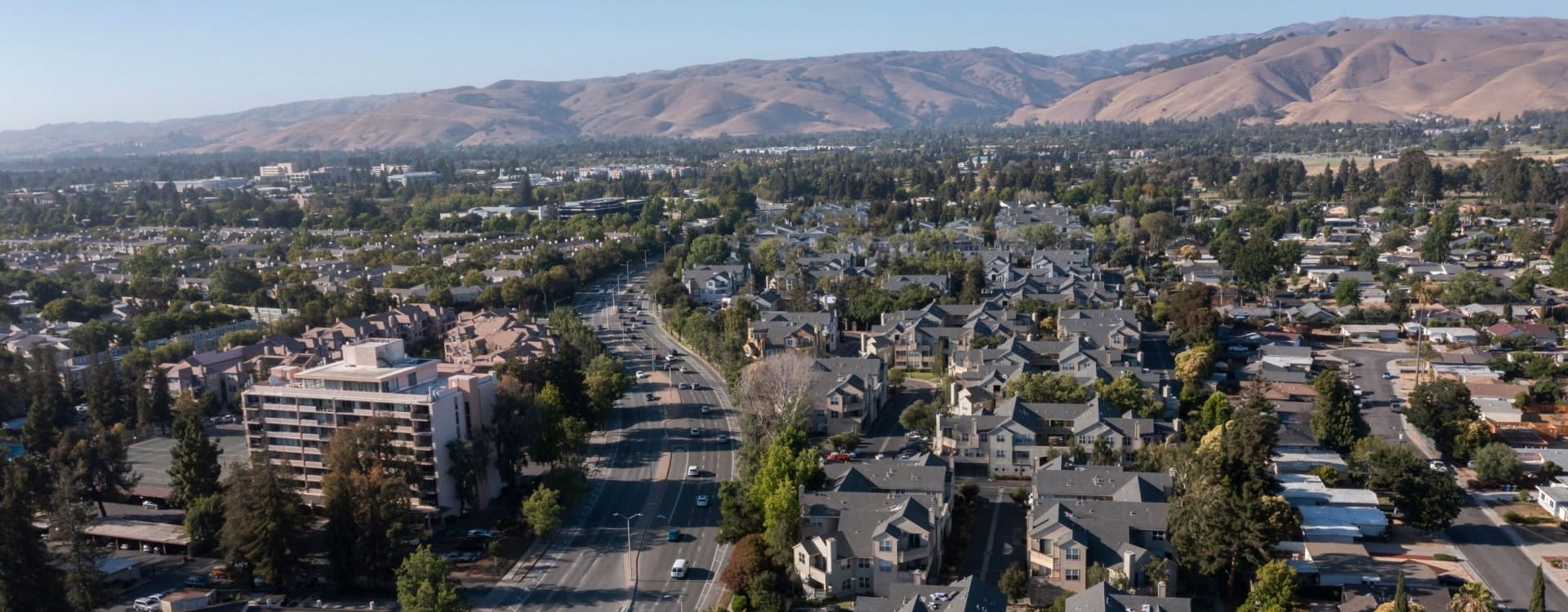 Fremont Pest Control | Local Exterminator in Fremont